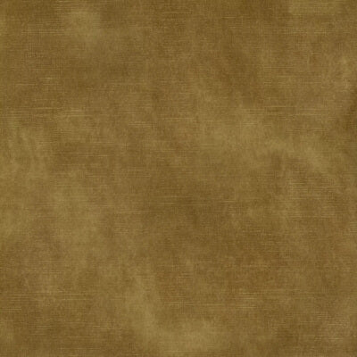 Velvet Collection: Discover Your Perfect Fabric Blend - MOMU